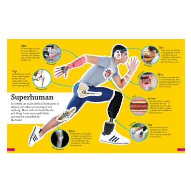 Dk Findout Human Body Openschoolbag