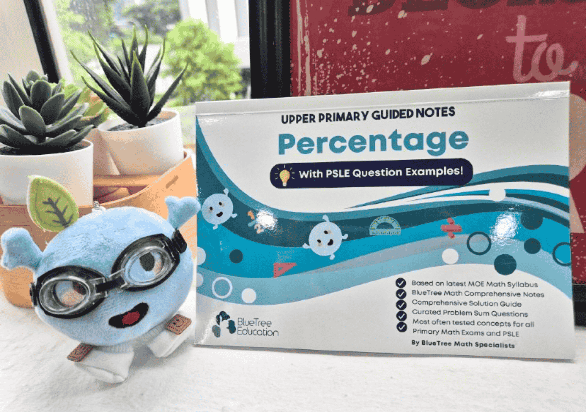 Primary PSLE Math revision Percentage