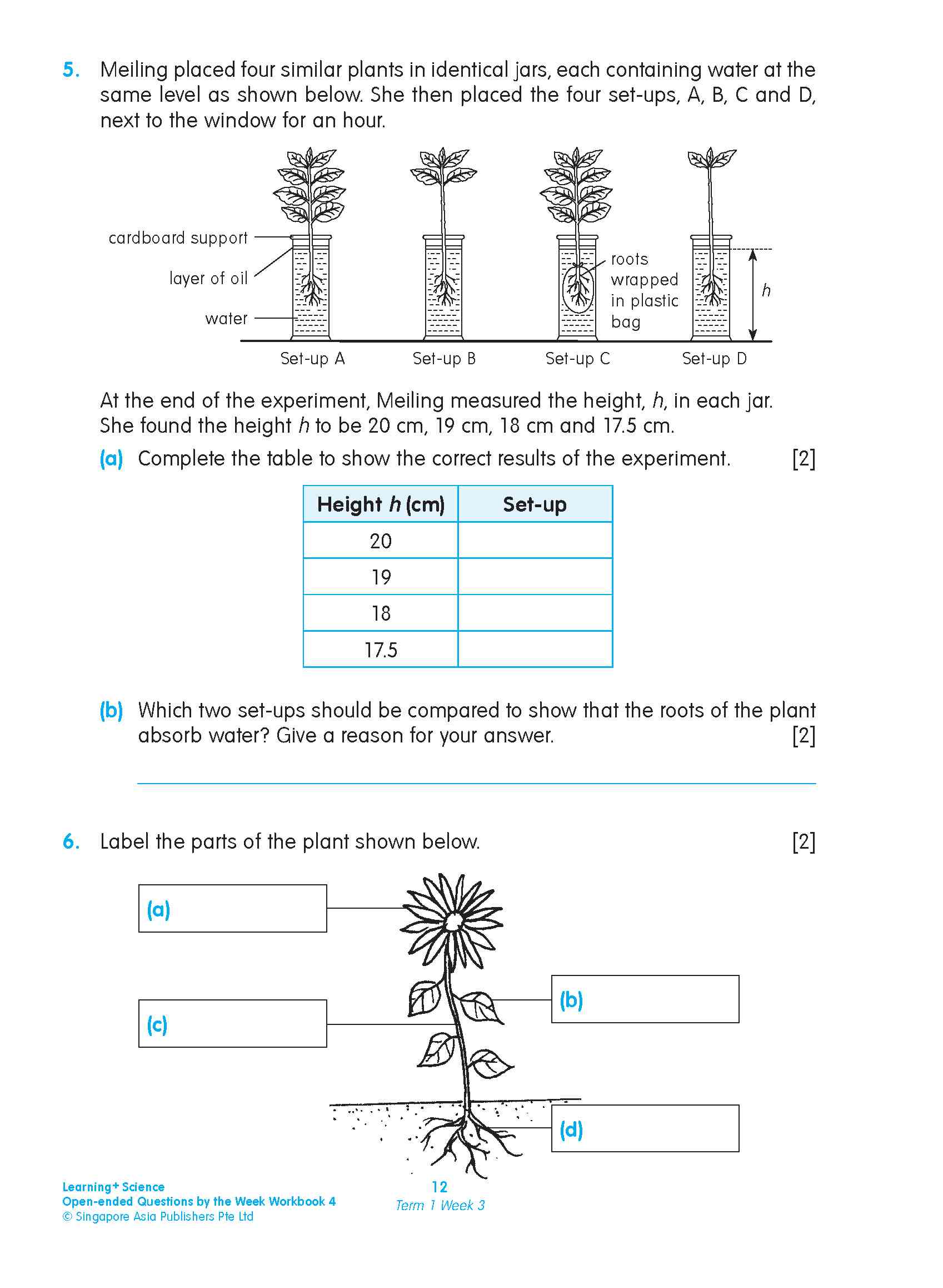 LEARNING+ SCIENCE Open-ended Questions by the WEEK Workbook 4 ...