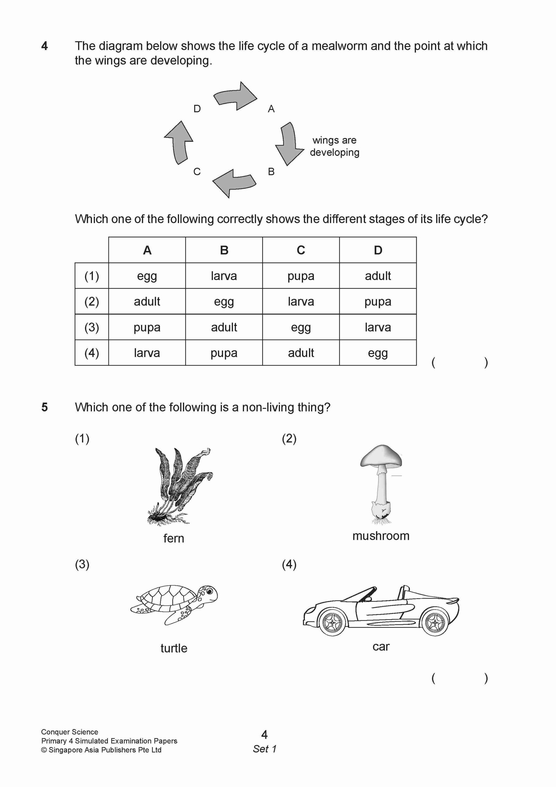Conquer Science Primary 4 – Simulated Examination Papers | OpenSchoolbag